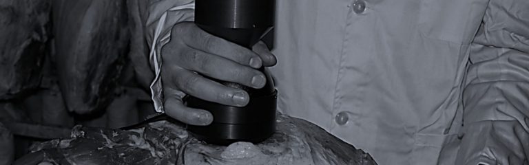 LCM-500™ - Colourimetric and marbling analysis of meat - Lenz Instruments