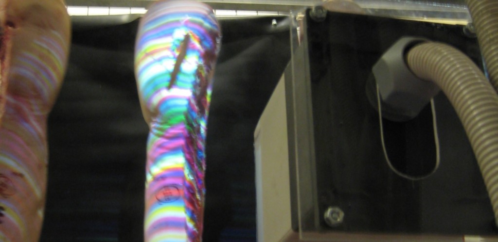 VIA Carcass grading_cut - Lenz Instruments