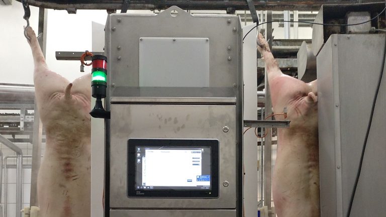 gmSCAN™ - Pork carcass and primal cut grading - Lenz Instruments